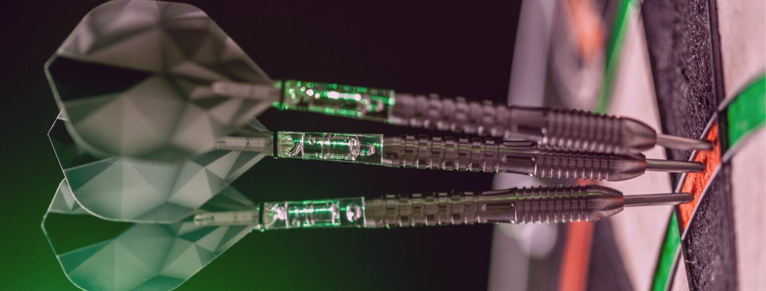 Best Darts for Beginners 2021 (Buyer’s Guide & Reviews)